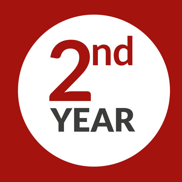 Second-Year-Icon - Platinum Seal